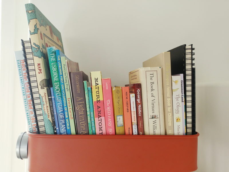 Our (Free) Grade 1 Spanish Curriculum – Intentional Homeschooling