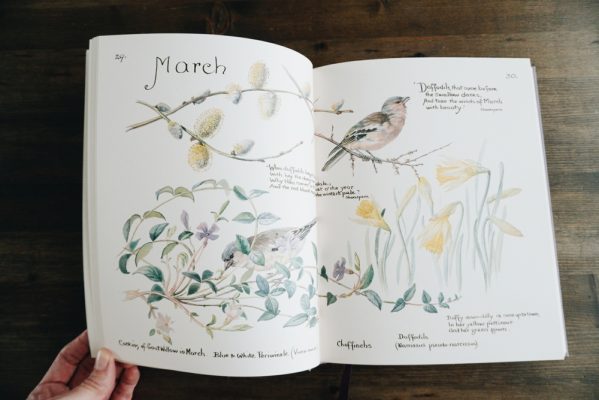 What is the Charlotte Mason method? And Why We are Switching to it ...