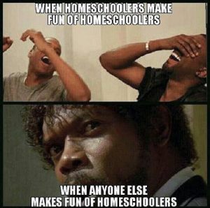 Homeschool Memes to Brighten Your Day – Intentional Homeschooling