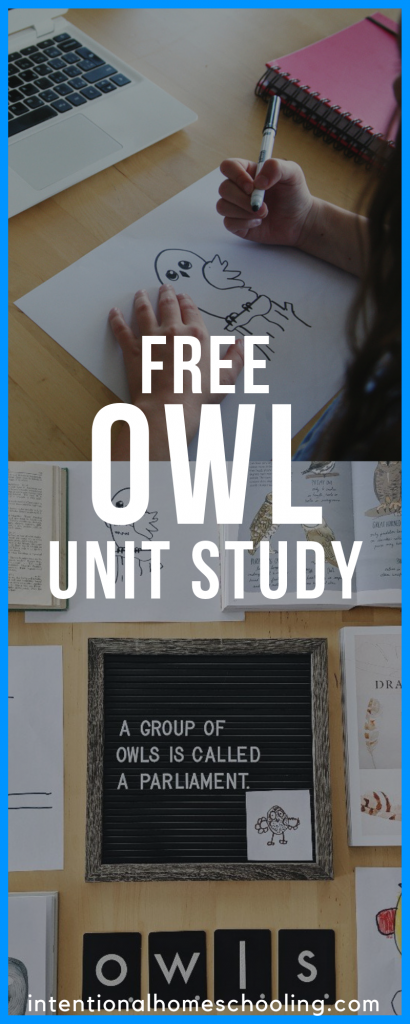 Owl Mini Unit Study Resources – Intentional Homeschooling