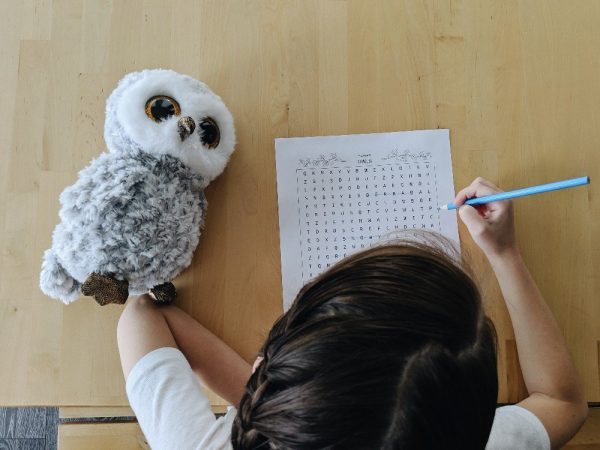 Owl Mini Unit Study Resources – Intentional Homeschooling