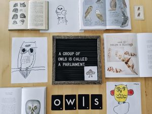 Owl Mini Unit Study Resources – Intentional Homeschooling