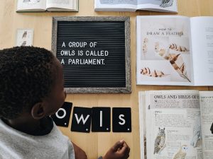 Owl Mini Unit Study Resources – Intentional Homeschooling