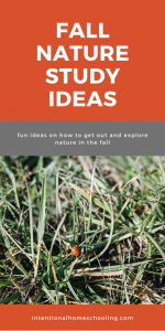 Fall Nature Study Ideas & A Free Autumn Nature Scavenger Hunt Printable ...