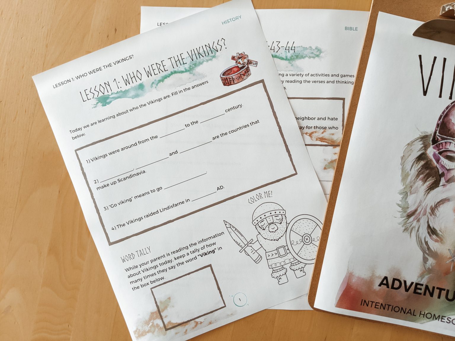 Vikings Unit Study Intentional Homeschooling