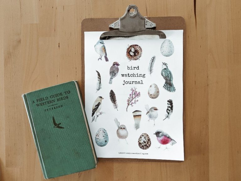 Bird Watching Journal – A Printable Nature Study Journal – Intentional ...