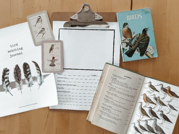Bird Watching Journal – A Printable Nature Study Journal – Intentional ...