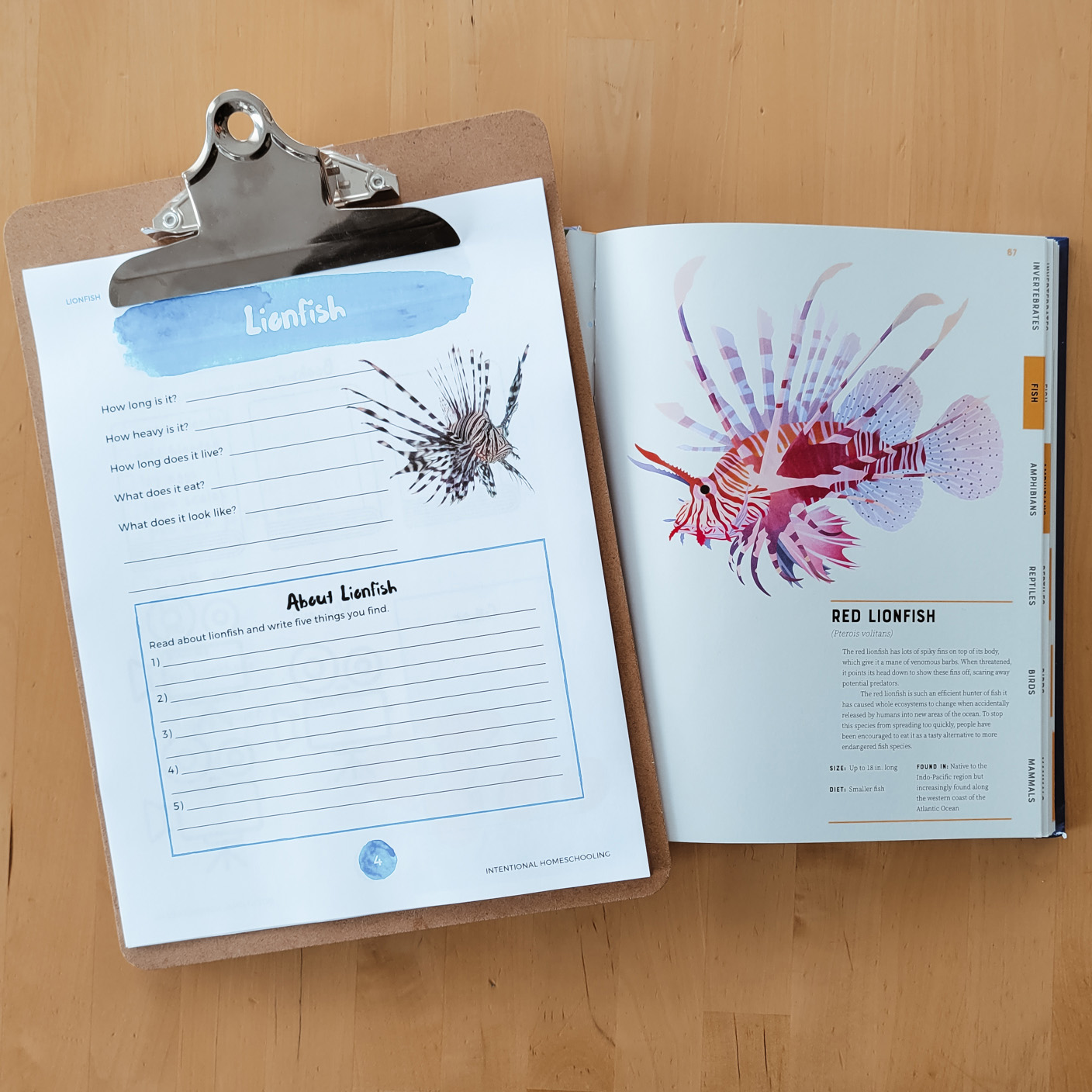 Intentional Homeschooling