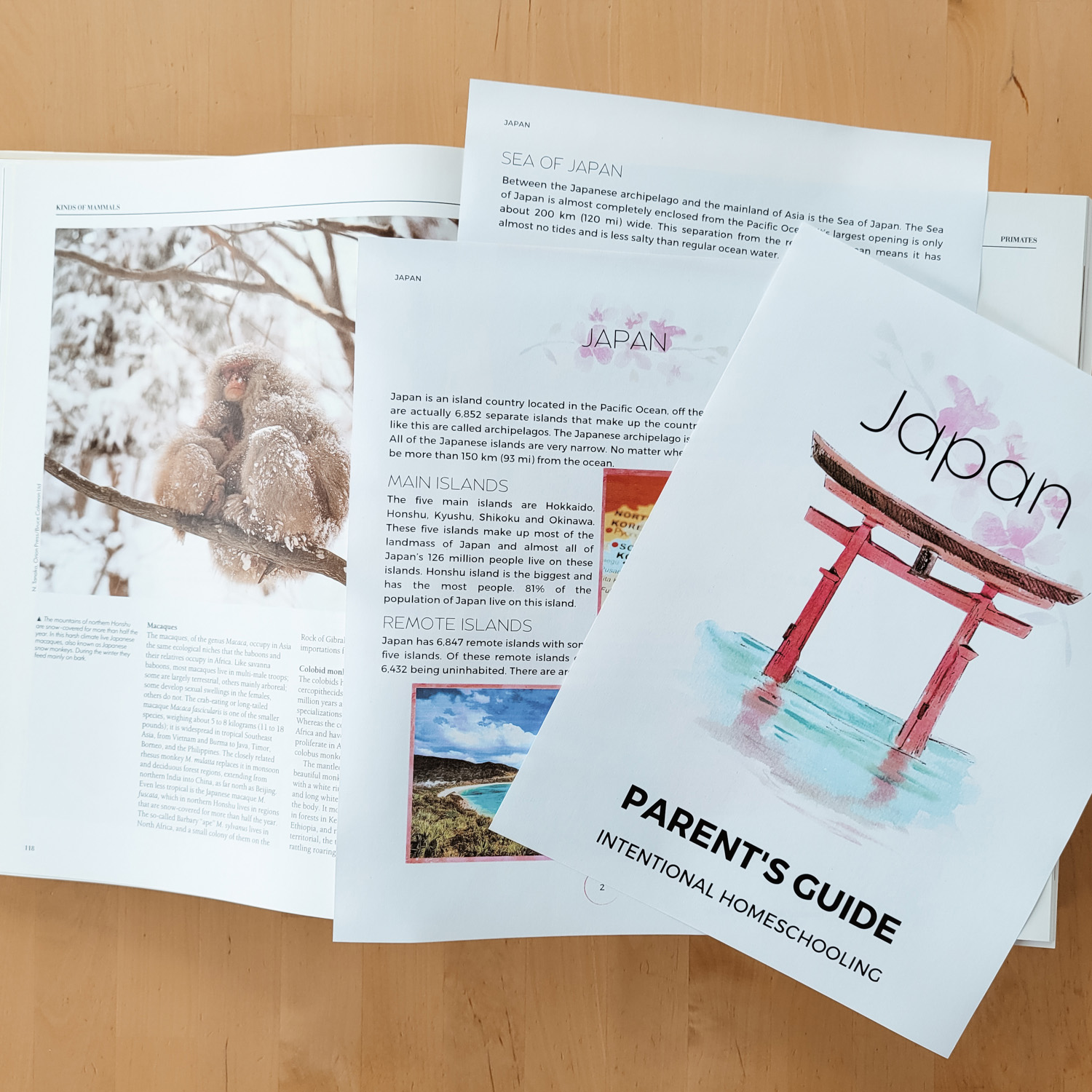 Intentional Homeschooling