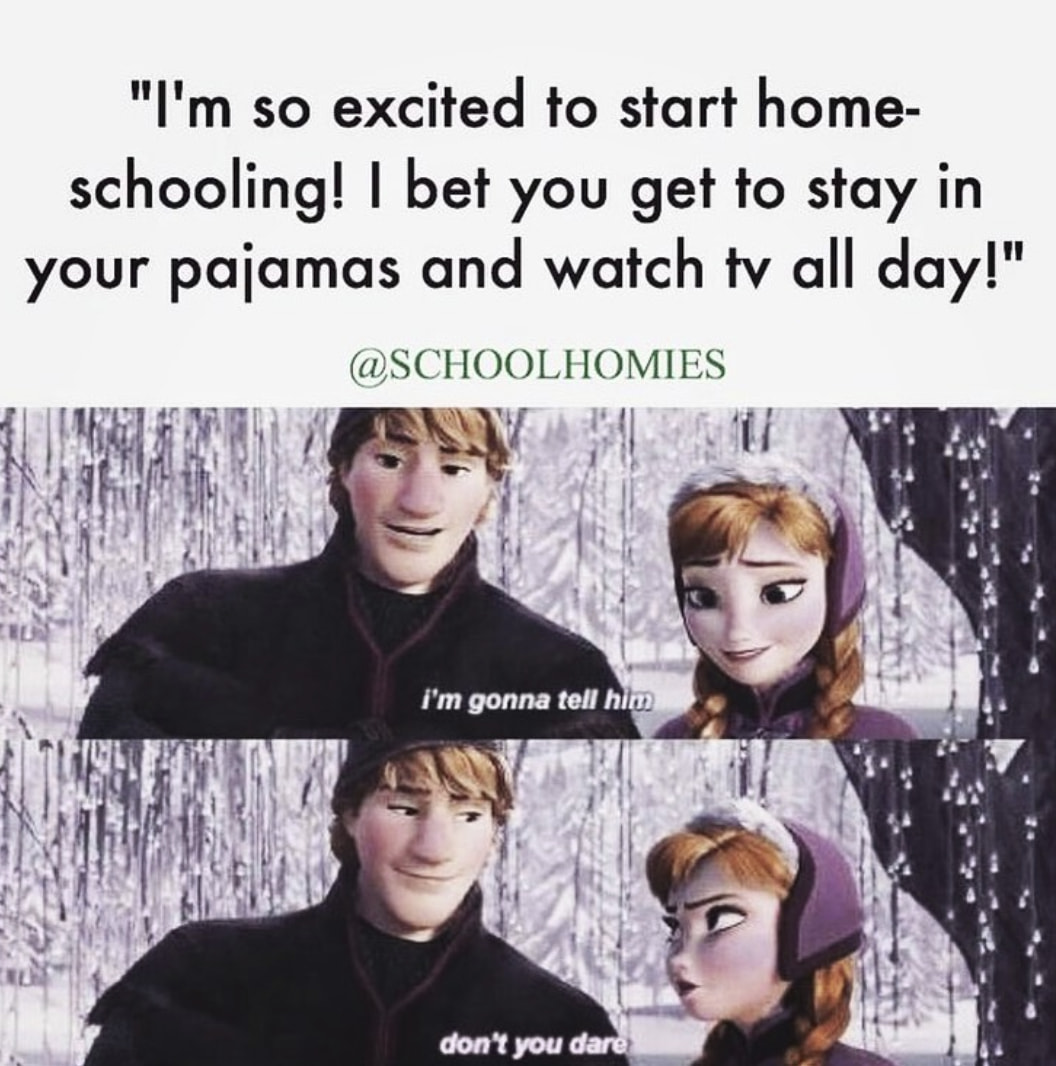 homeschool MEMES that will bring a smile to your face – Intentional ...