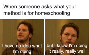homeschool MEMES that will bring a smile to your face – Intentional ...